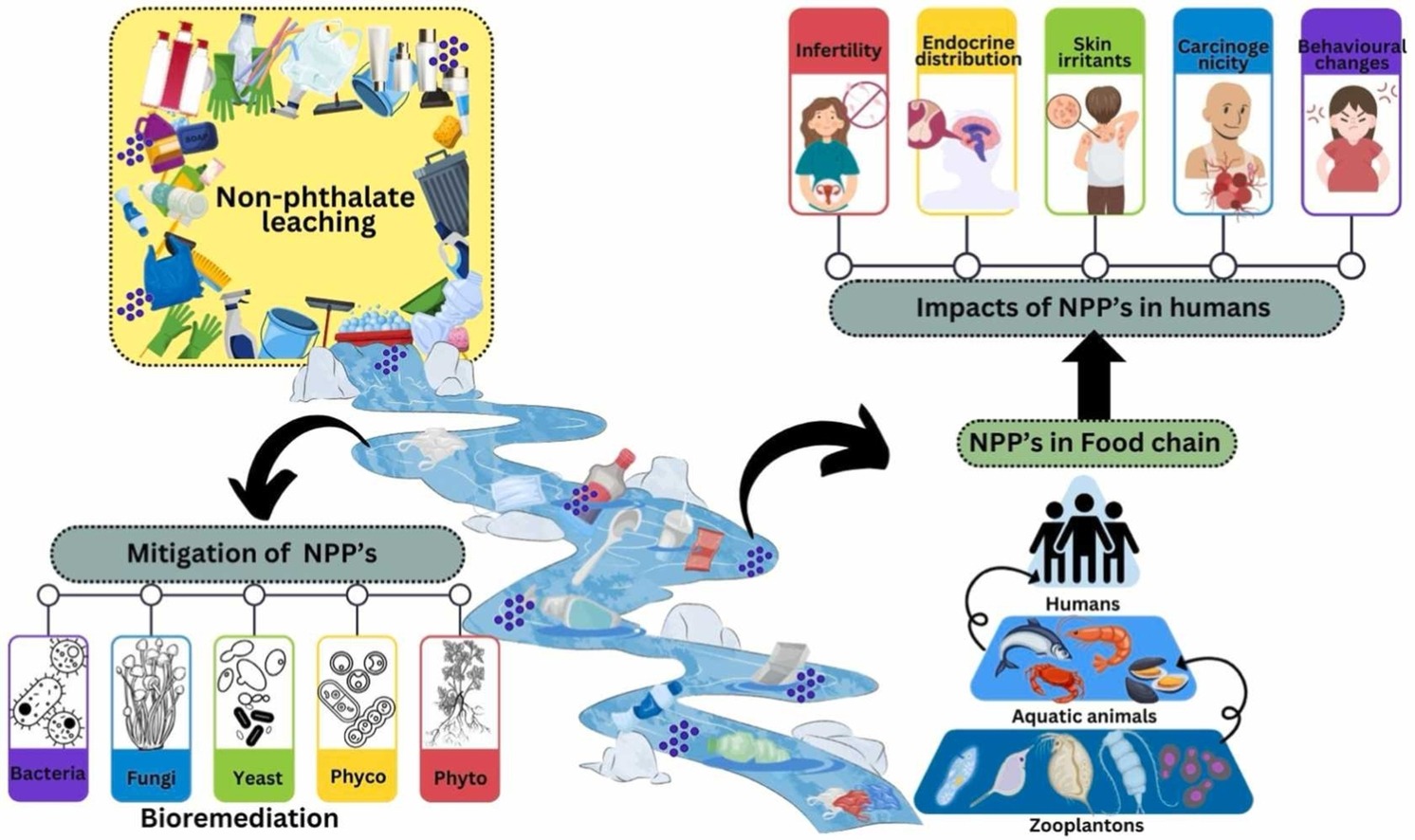 Emergence of Phthalate-Free Plasticizers: Serious Risks to Human Health ...